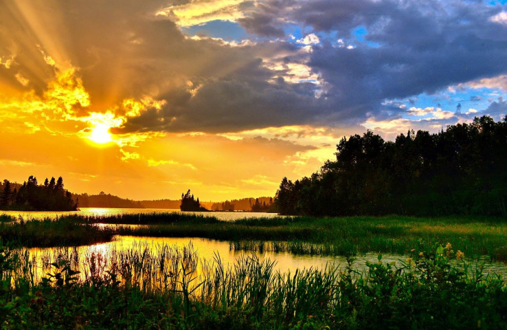 ¿Qué es la biorregión neotropical? - Blog